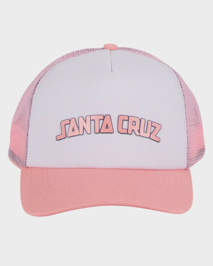 Santa Cruz College Arch Curved Peak Snap Back Trucker Cap Pink – Jimmys ...